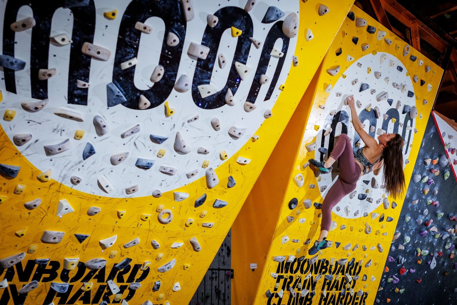 MoonBoard 2019 Setup Hold Bundle Moon Climbing