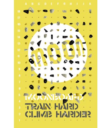 Freestanding MoonBoard Kit - 2016 Moon Climbing